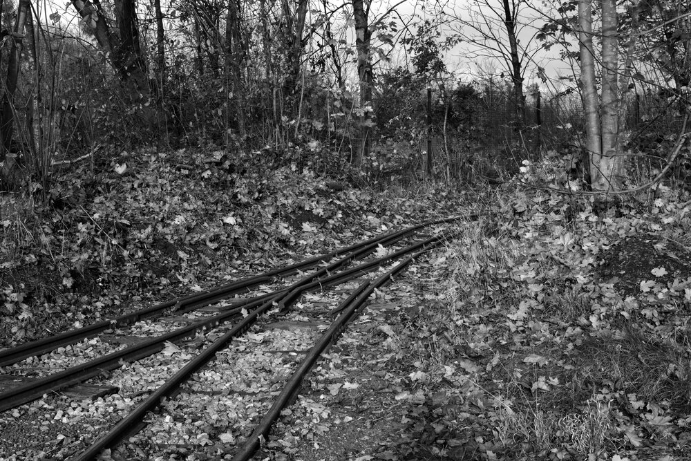 Pentax K-3 III Monochrome DSLR Review - Pentax User